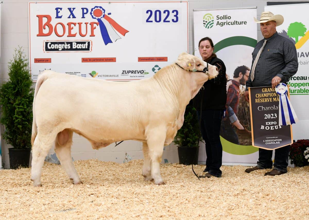 McCord/Cornerview Win Expo Boeuf - Charolais Banner