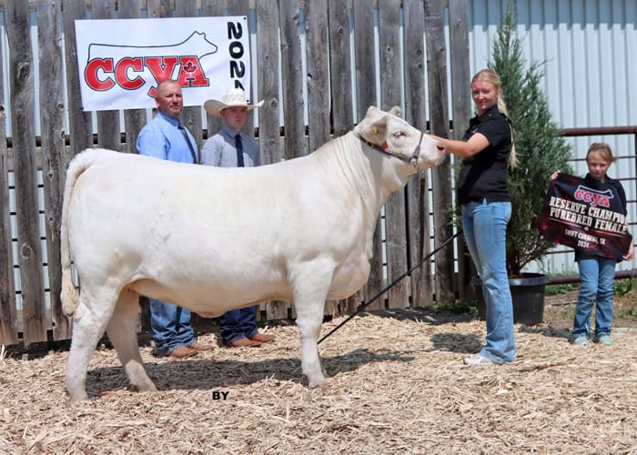 Fowler/Elder Win CCYA Show - Charolais Banner