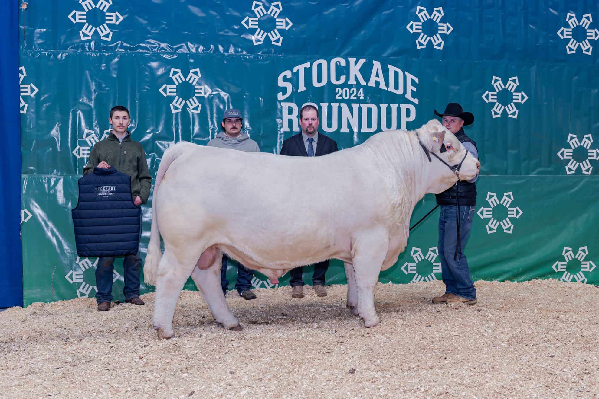 Home - Charolais Banner