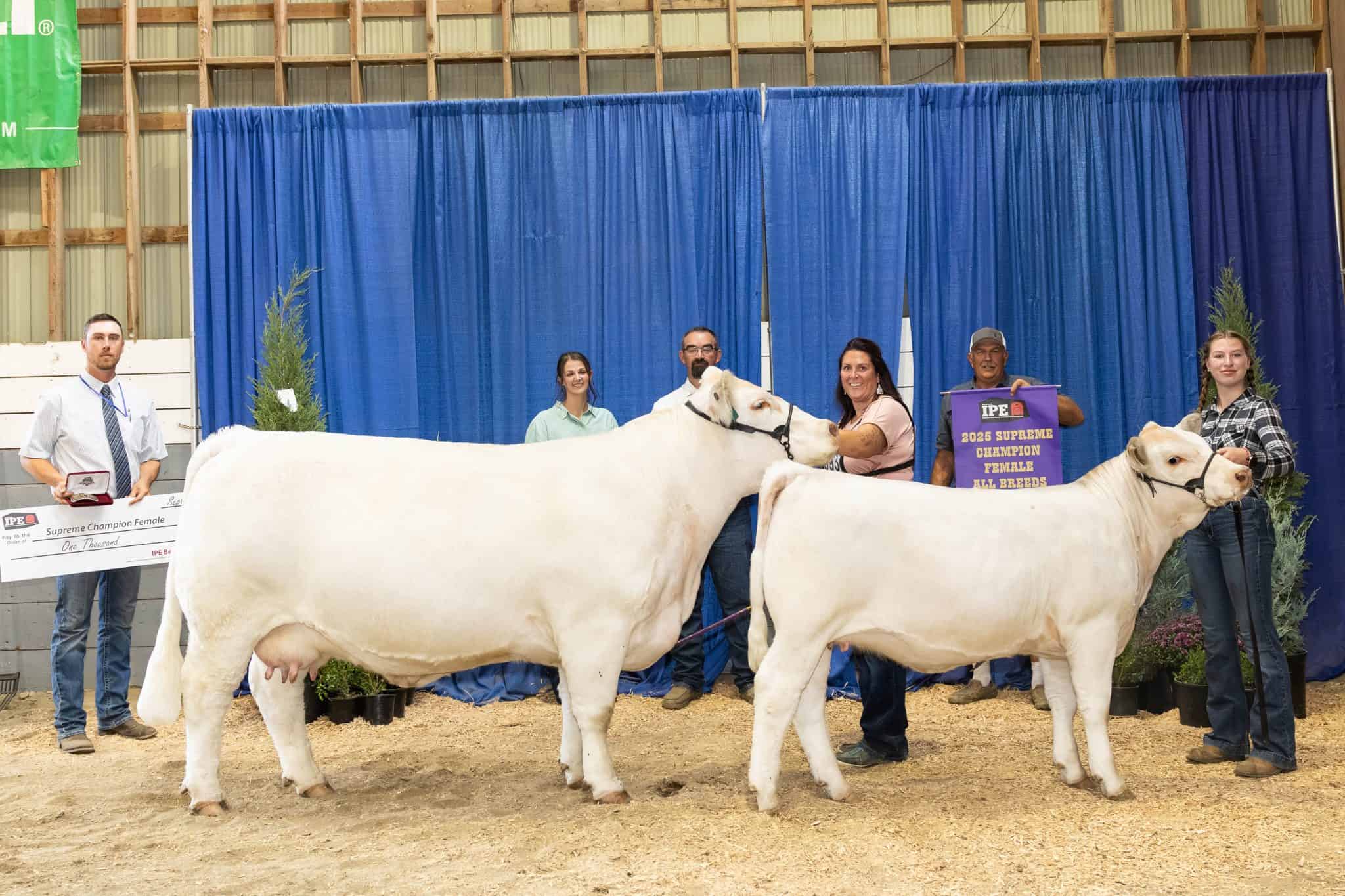 Charolais Win Supreme at IPE - Charolais Banner