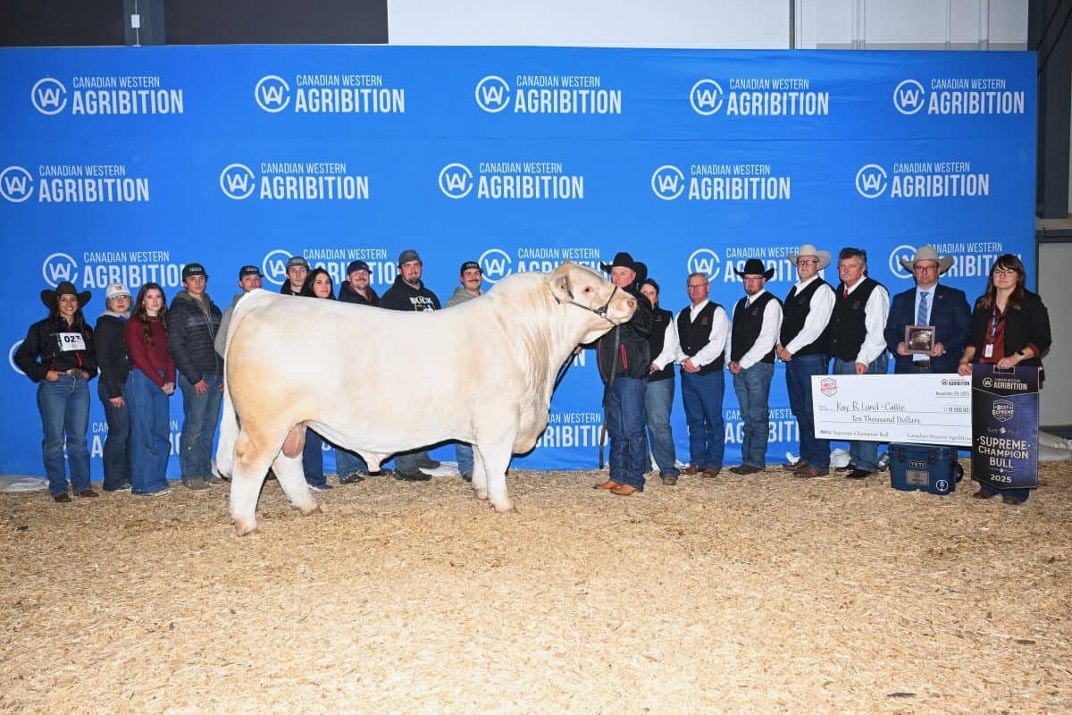 KAY-R/KFC Win CN Beef Supreme - Charolais Banner